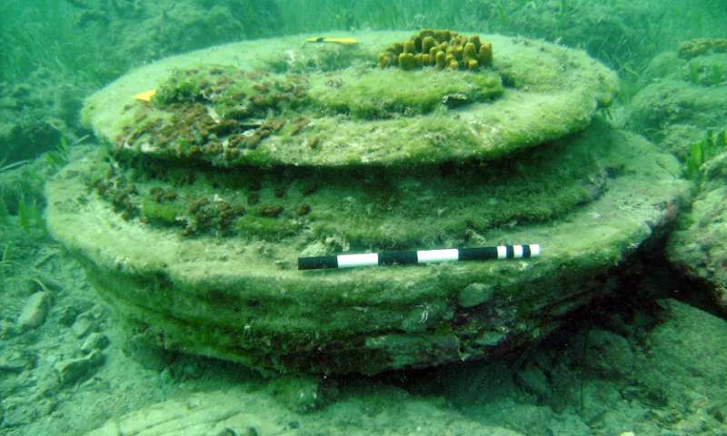 Microbes Built This Underwater ‘Archaeology’ Sight - Research ...