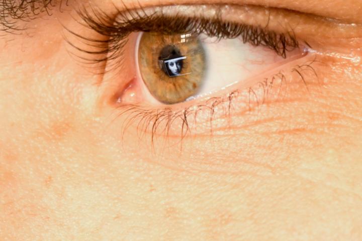 Algorithm Uses Eeg Data To Reconstruct Images Based On What We Perceive