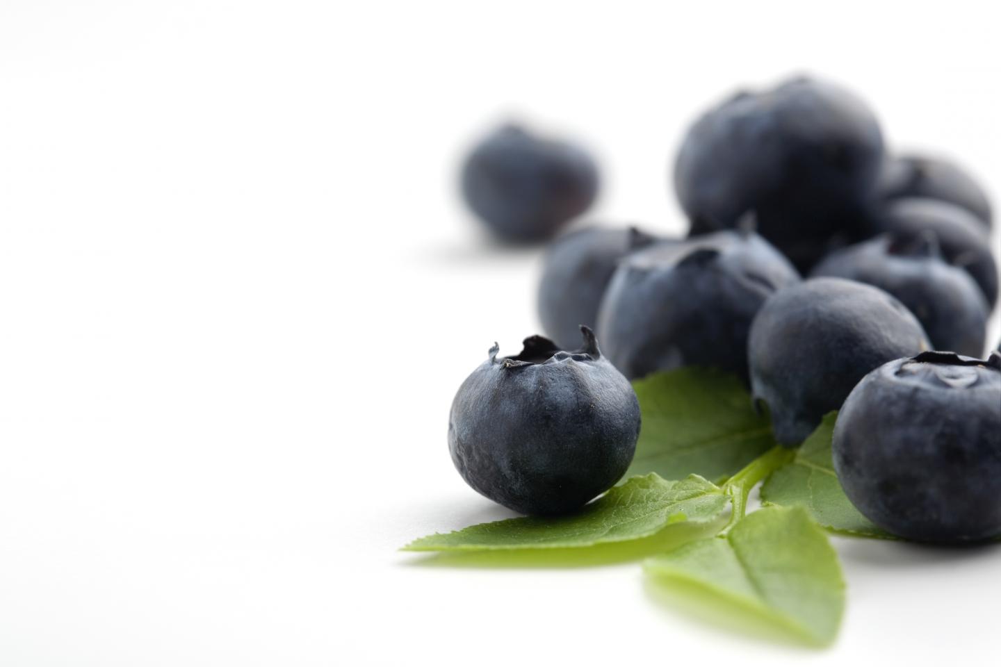 New Health Benefits Discovered in Berry Pigment - Research ...