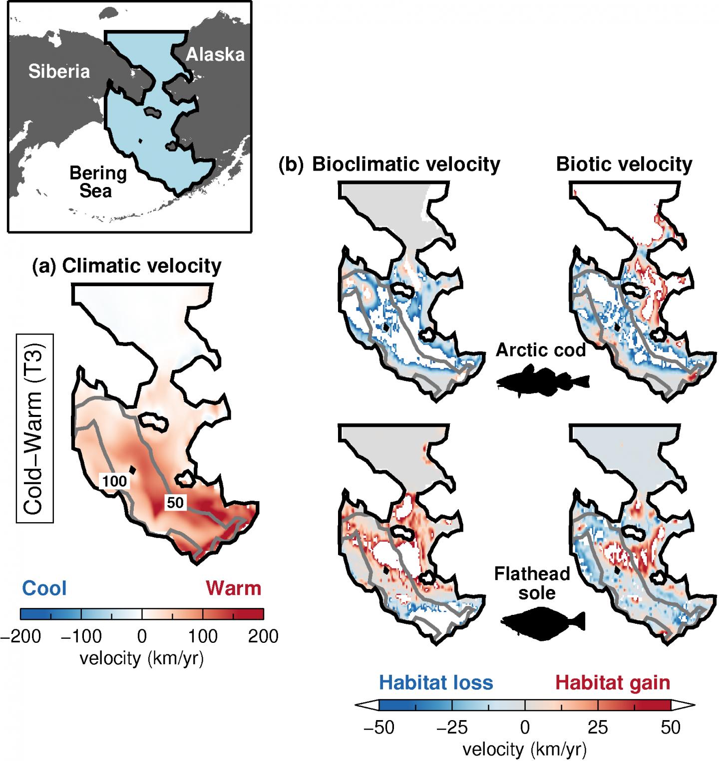 Mapping Species Range Shifts Under Recent Climatic Changes - Research ...