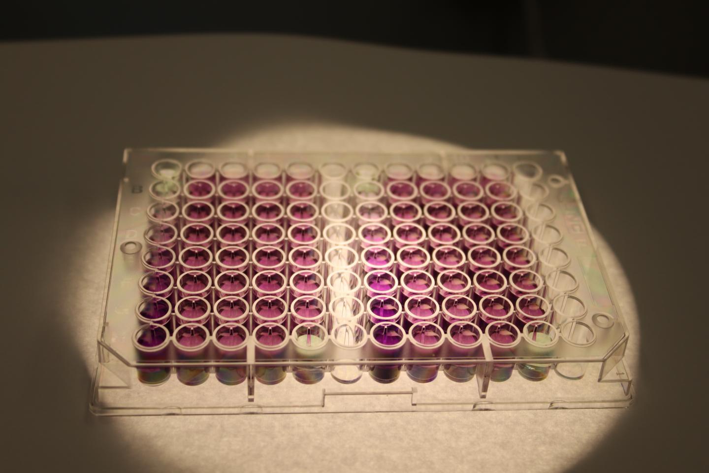 New Method Speeds Up Nitrogen Testing in Soil - Research & Development ...