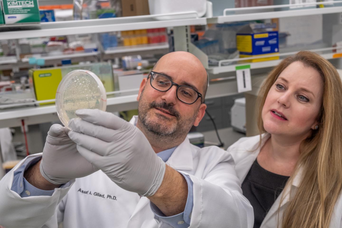 Magnetic Gene in Fish May Someday Help Those With Epilepsy, Parkinson's ...