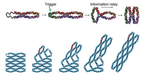 Switchable DNA Mini-machines Store Information - Research & Development ...