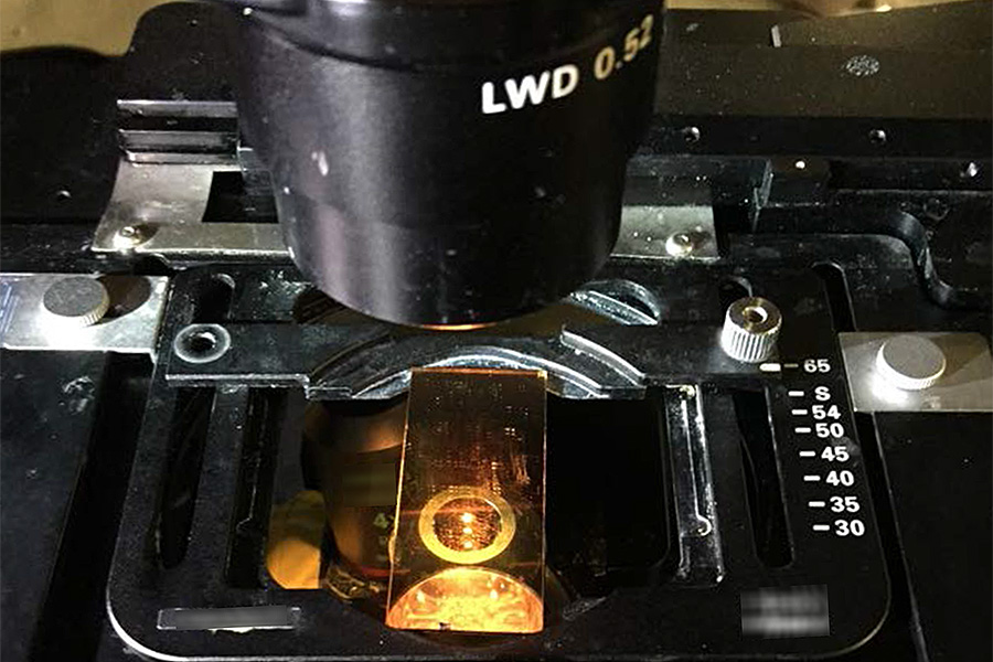 Newly Improved Glass Slide Turns Microscopes into Thermometers ...