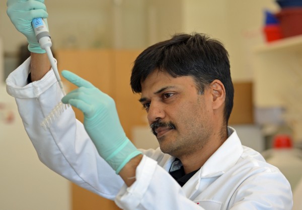 New Technology Developed for Engineering Animal Models - Research ...