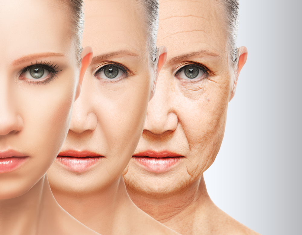 Research Team Defines Possible Anti-Aging Intervention - Research ...