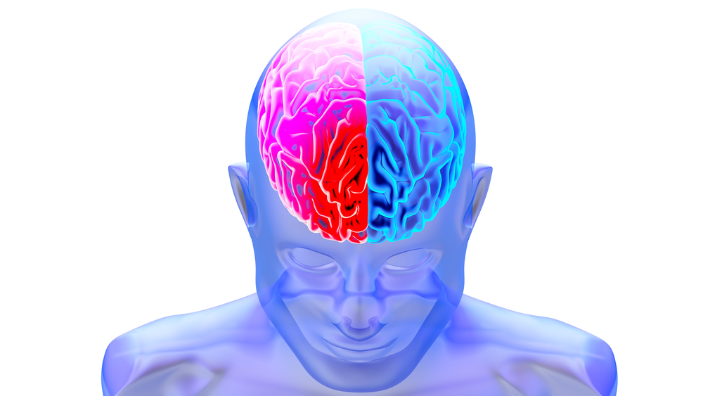 Low Levels Of "Memory Protein" Linked to Cognitive Decline in Alzheimer ...