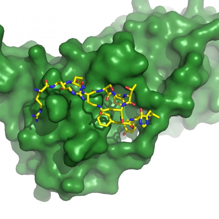 Tackling Cancer at Ground Zero With Designer Molecules - Research ...