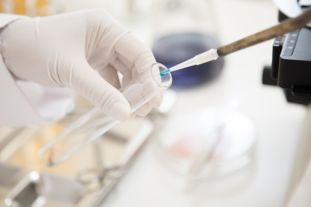 Nano Chip System Measures Light From Single Bacterial Cell to Enable ...