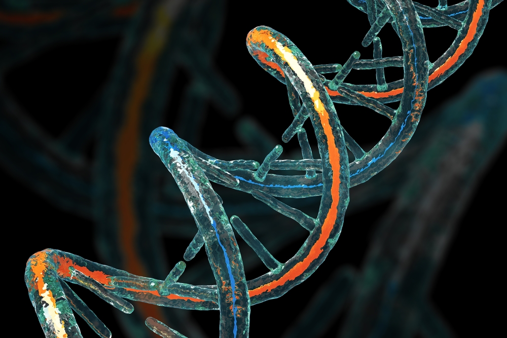 Cancer Gene Map Uncovers Potential New Treatment Targets - Research ...
