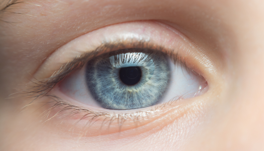 New Research Shows Zika Can Damage the Eyes - Research & Development World