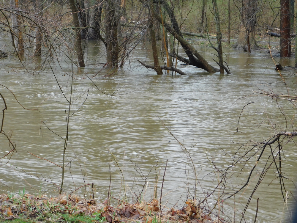 Remote-Sensing Streamflow Radar Provides Advance Warning for Flooding ...