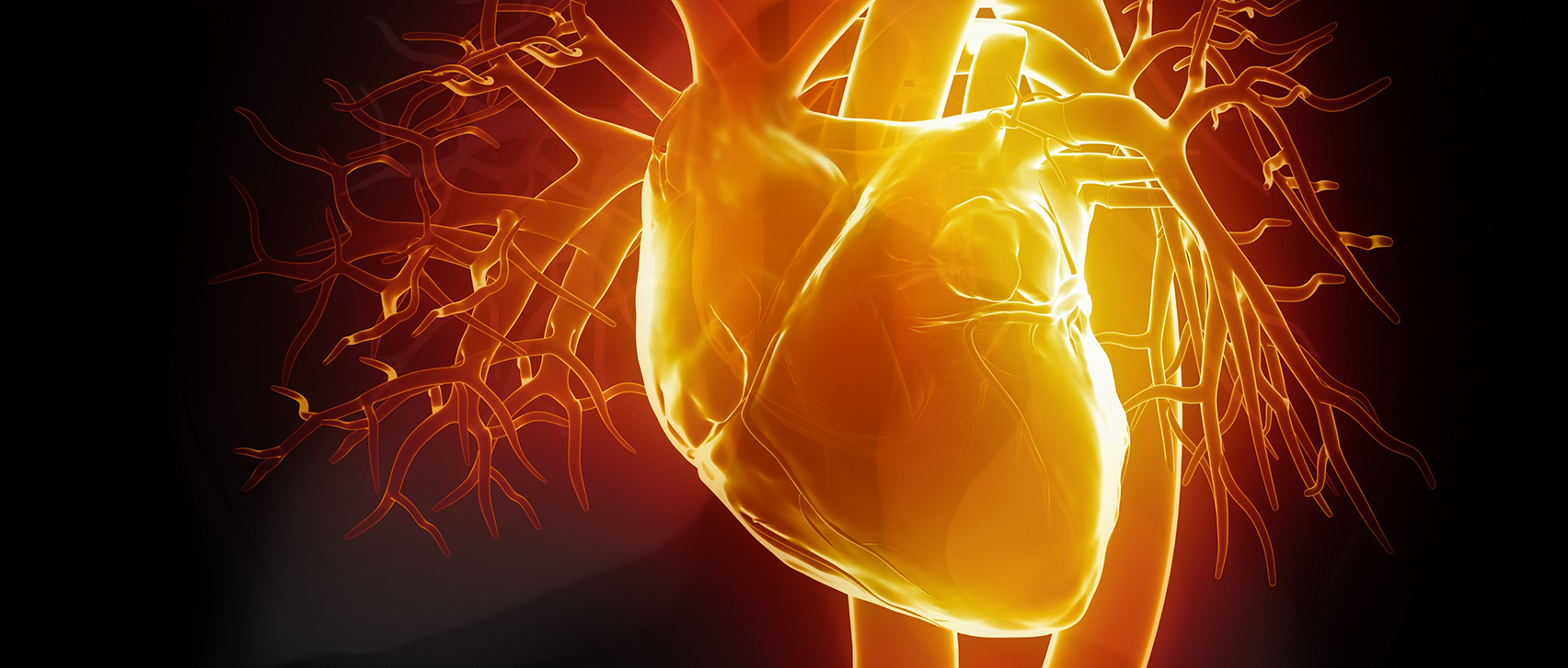 Engineered Tissue Could Replace Damaged Heart Muscles - Research ...