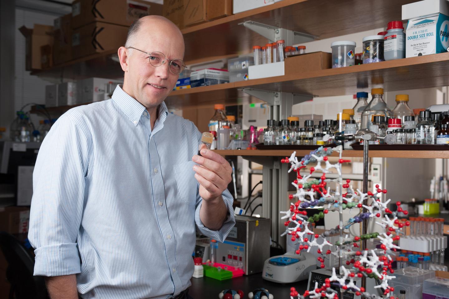 AAAS Annual Meeting: Asteroids Give Researchers Clues About Early Life ...
