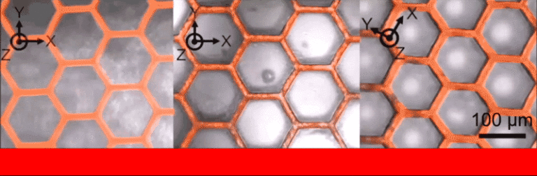 Microscopic 'Sunflowers' for Better Solar Panels - Research ...