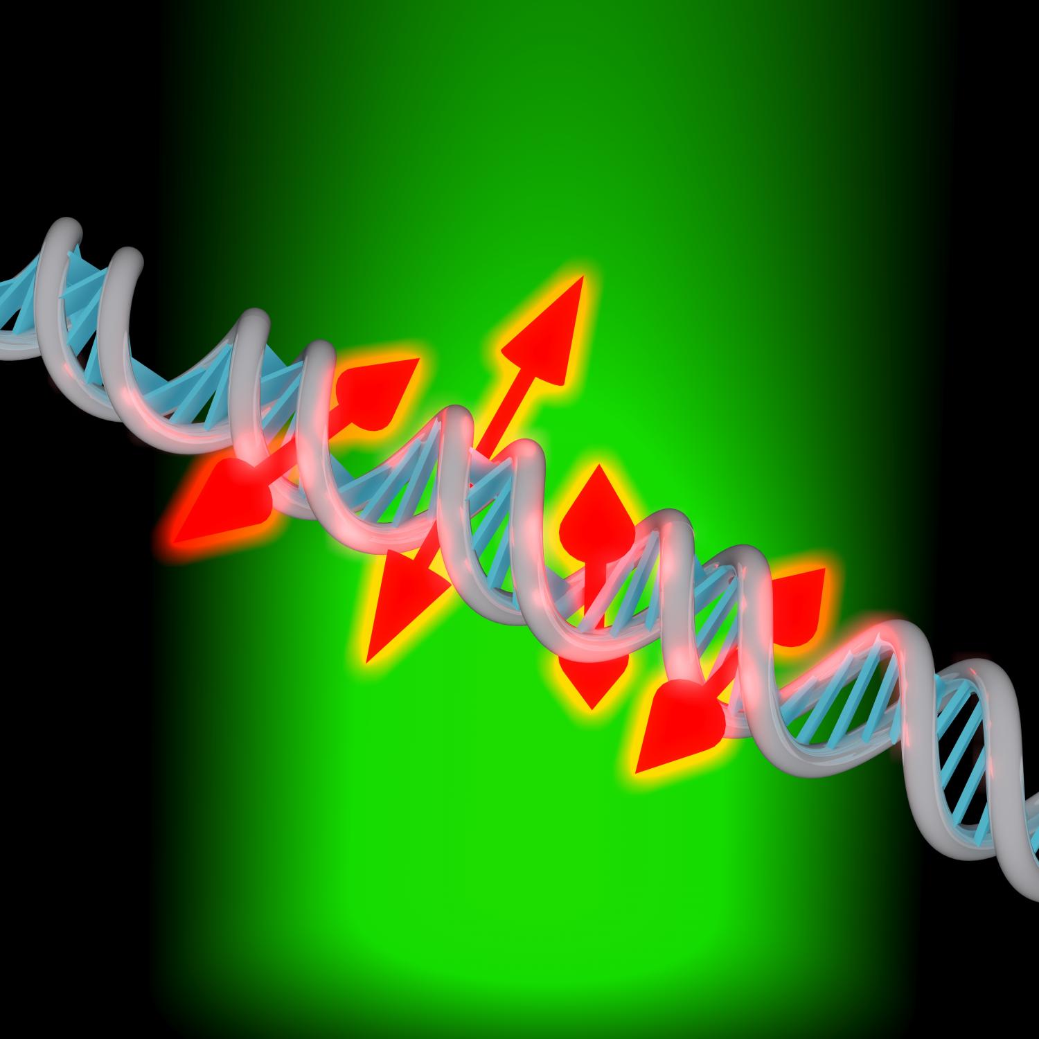New Imaging Method Reveals Nanoscale Details about DNA - Research ...