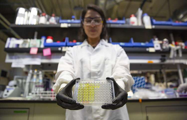 New Test Instantly Identifies Antibiotic-Resistant Superbugs - Research ...