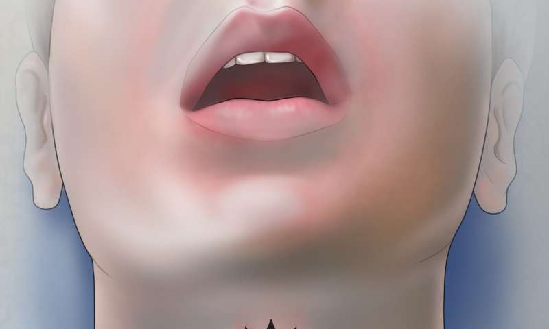 Pitch Range Produced by Vocal Cords - Research & Development World