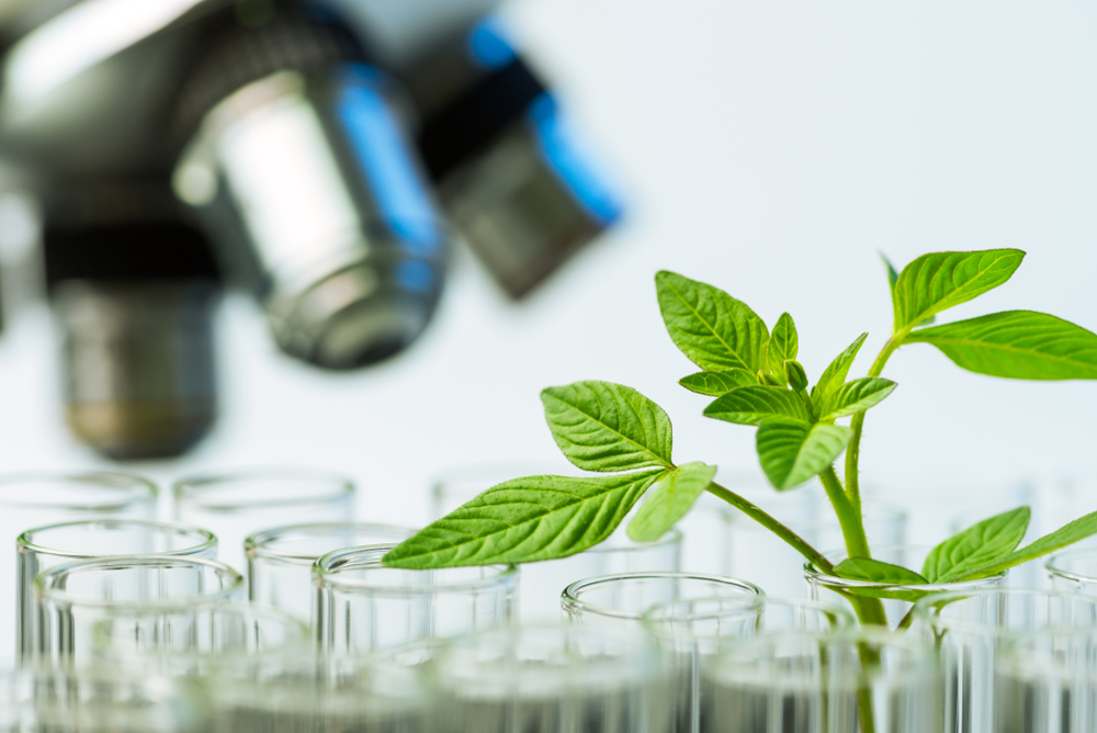 Droplet Microfluidics Offers a New Approach For Studying Plant Cell ...