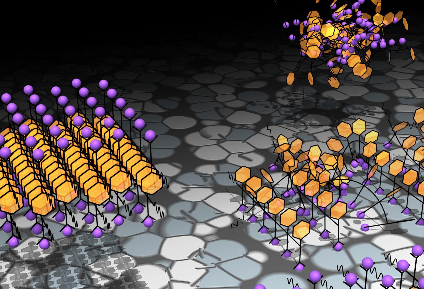 Tweaking a Molecule's Structure Can Send It Down a Different ...
