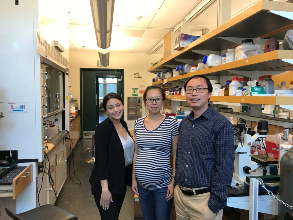 Biosensors Light Up Cellular Signaling Processes - Research ...