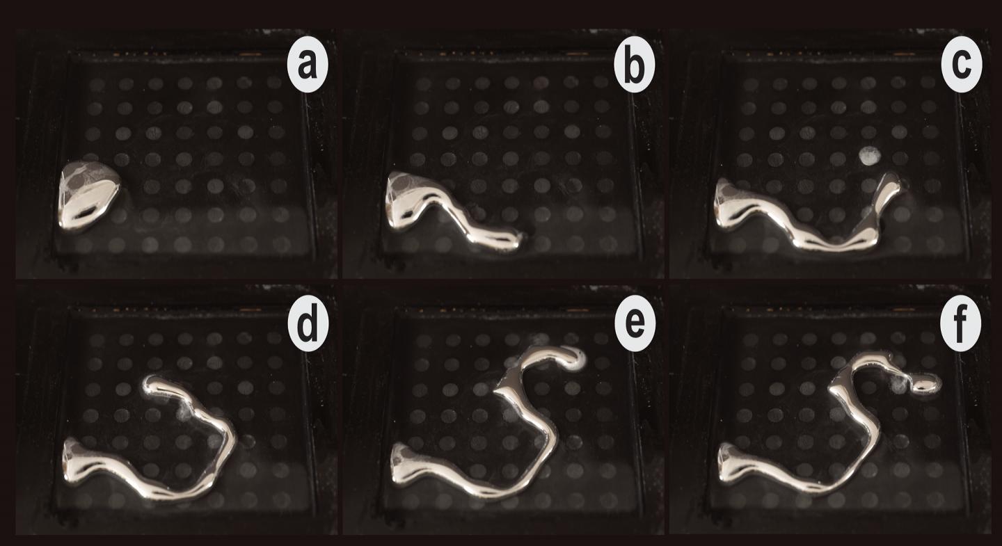Liquid Metal Brings Soft Robotics a Step Closer - Research ...