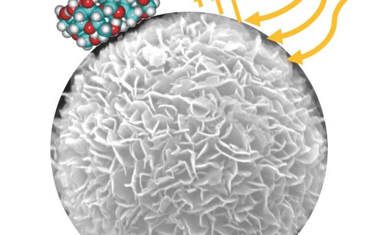 Reusable Water-Treatment Particles Effectively Eliminate BPA - Research ...