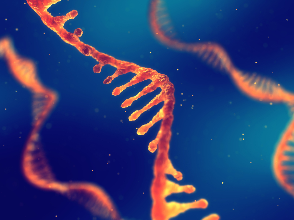 New Sequencing Tech Provides a Better Look at RNA - Research ...