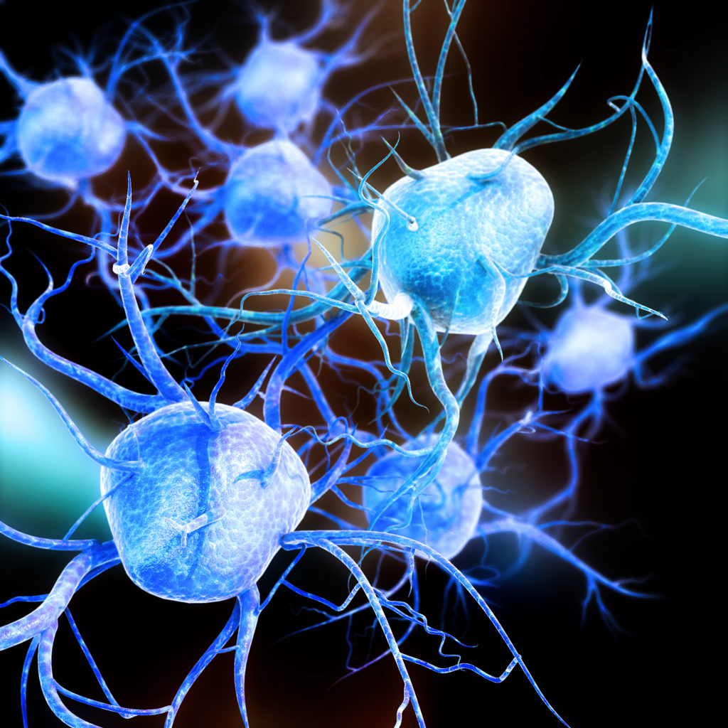 New Technique Opens Window Into How Brain Cells Communicate - Research ...