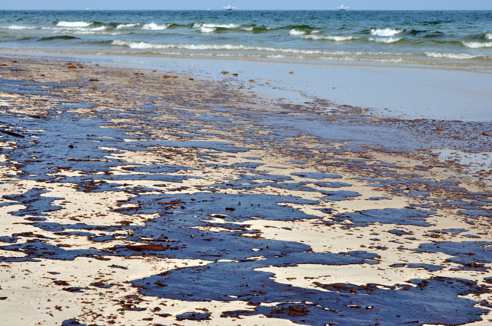 An Oil-Eating Bacterium That Can Help Clean Up Pollution and Spills ...