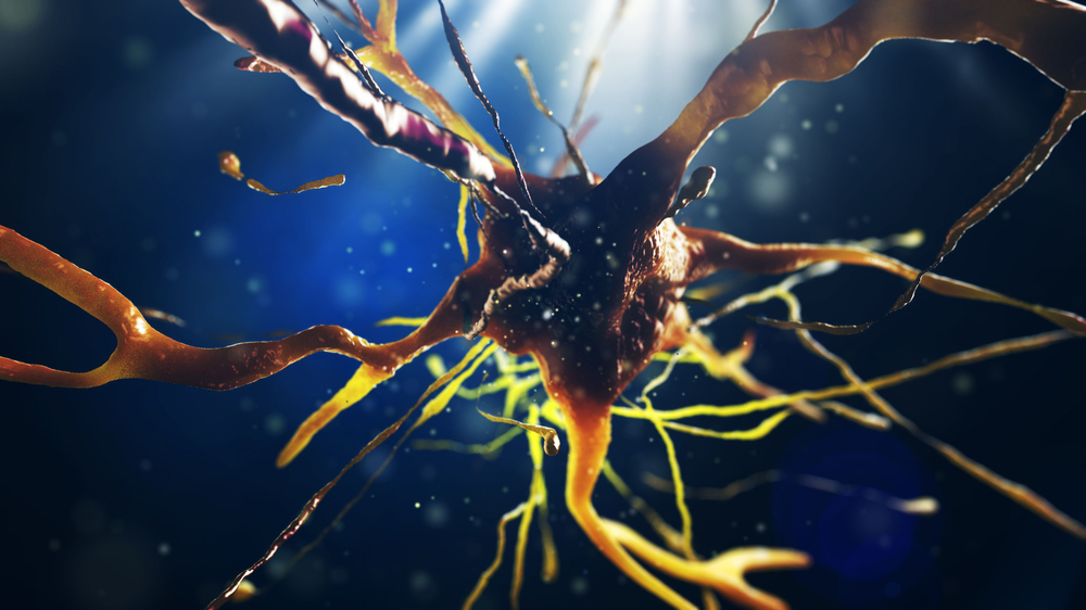 Cellular Traffic Jam Seen in ALS/FTD - Research & Development World