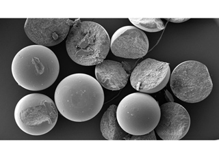 Cosmetic Microbeads Impact Oceans - Research & Development World