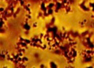 Asphaltene analysis takes a giant step - Research & Development World