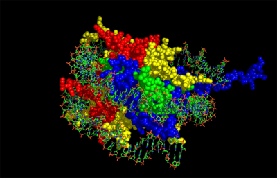 Researchers Untangle DNA - Research & Development World