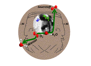 Chemists develop novel catalyst with two functions - Research ...