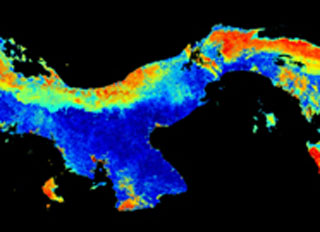 Team creates first above-ground carbon density map for whole country ...