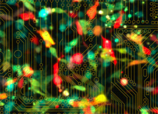 Constructing Precisely Functioning, Programmable Bio-computers ...