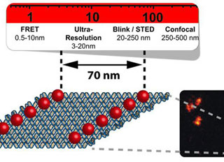 Measuring the nanoworld: Rulers made of DNA - Research & Development World