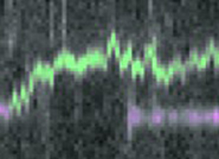 Random walks on DNA - Research & Development World