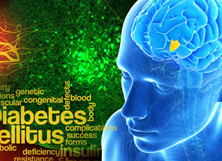 Glucose “control switch” in the brain key to both diabetes types ...