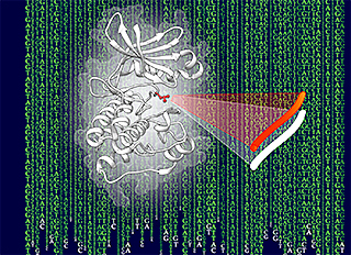 Digital ‘Rosetta Stone’ Decrypts How Mutations Rewire Cancer Cells ...