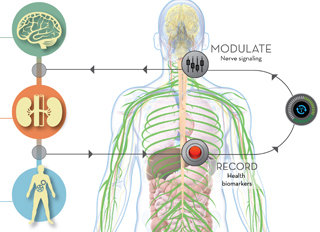 New DARPA program aimed at developing customized therapies - Research ...