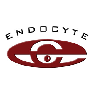 Endocyte Drug Slows Lung Cancer Progression - Research & Development World