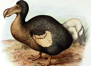 Exploring the ethics of resurrecting extinct species - Research ...