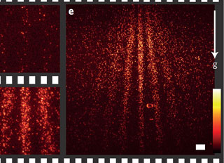 Feynman's double-slit experiment preserved - Research & Development World
