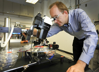 Oak Ridge National Lab launches imaging institute - Research ...