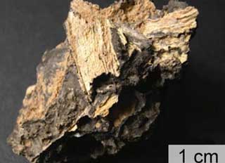Impact glass stores biodata for millions of years - Research ...