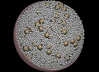 Large-scale Modeling sets Stage to Simulate Living Cell - Research ...