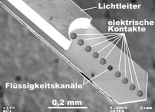 A light switch inside the brain - Research & Development World