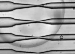 Freshly squeezed vaccines - Research & Development World